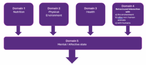 Why welfare matters – Evidence-Based Resources for Assessing Animal Welfare