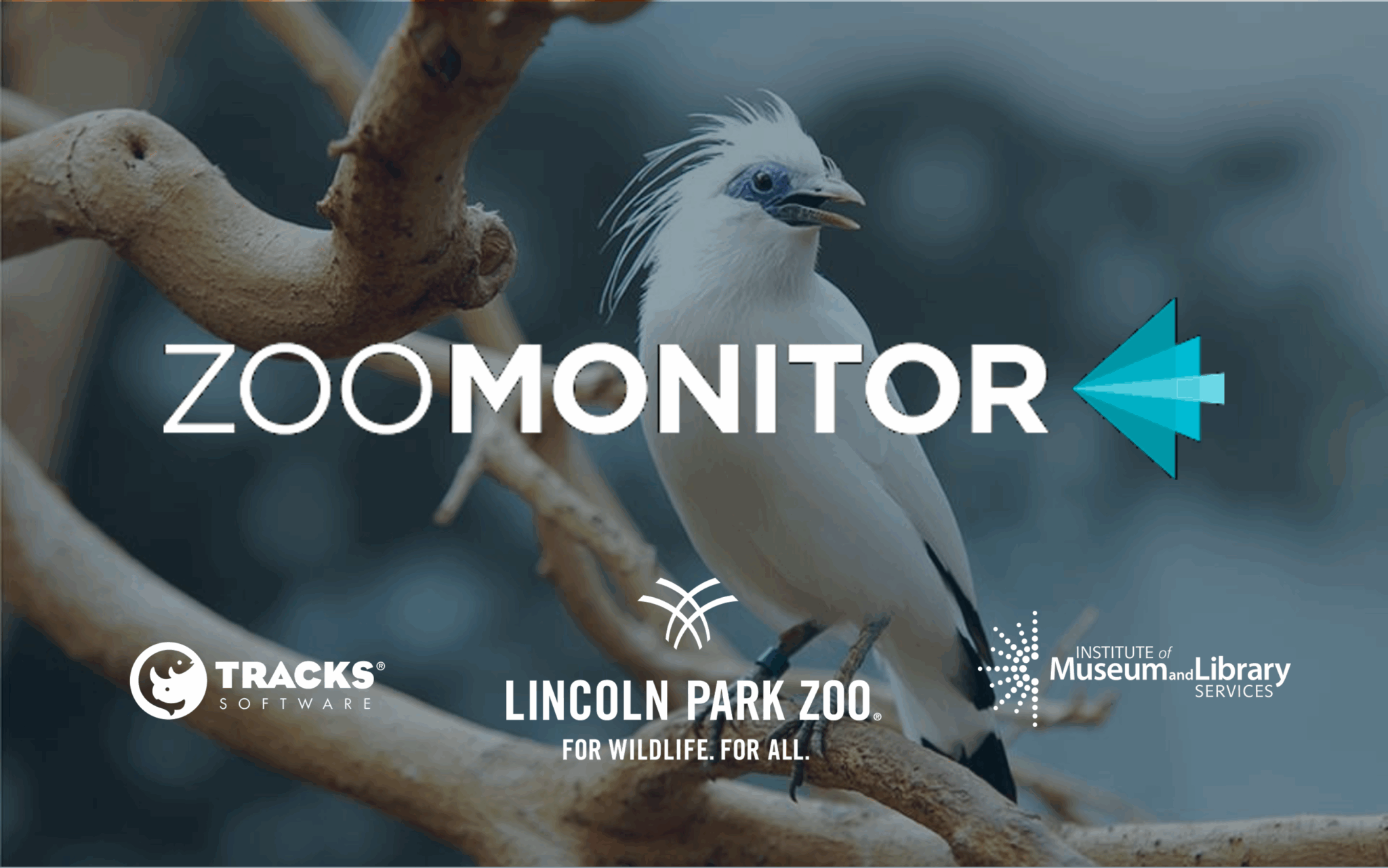 ZooMonitor – Evidence-Based Resources for Assessing Animal Welfare